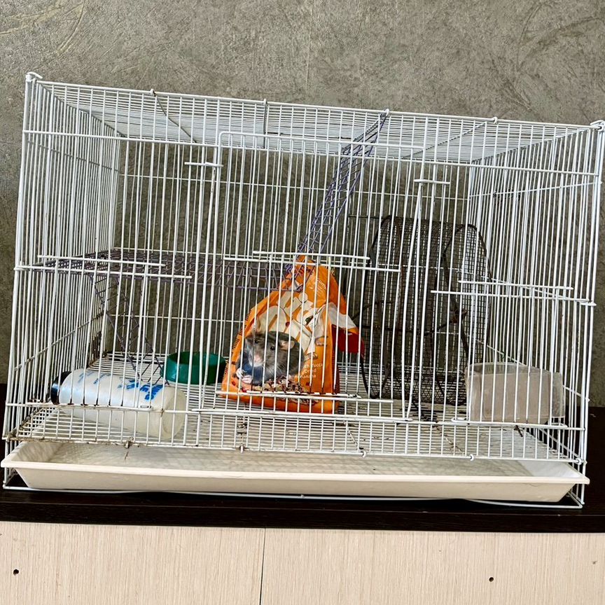 Клетка 1 м большая для крыс, белок и др крызунов