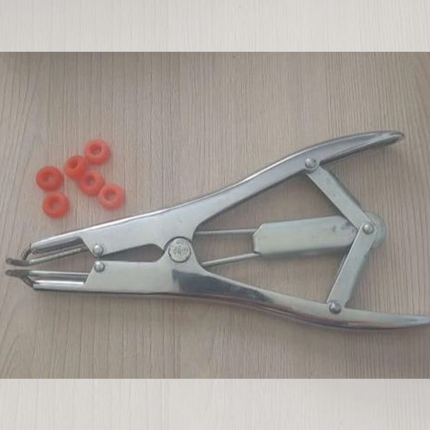 Эластратор - ампутатор