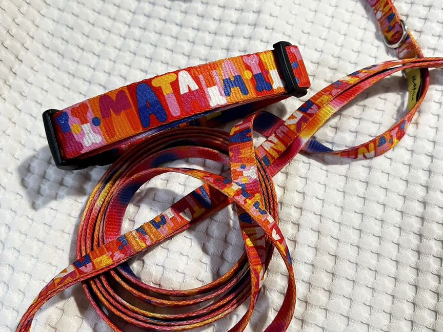 Ошейник и поводок Шарик Дог