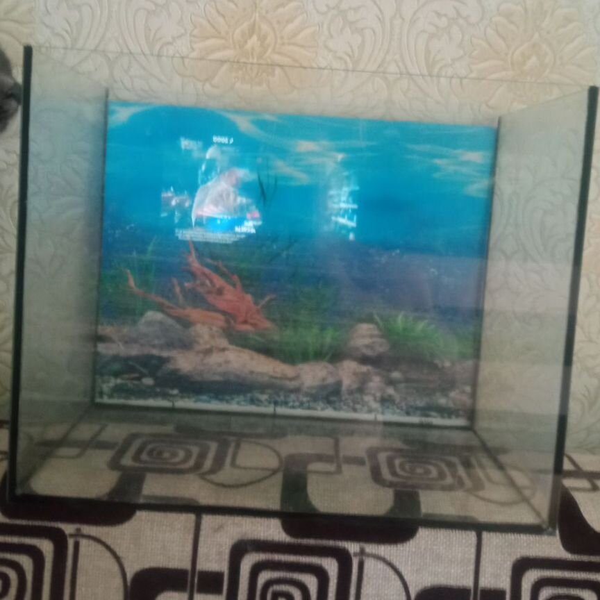 Аквариум
