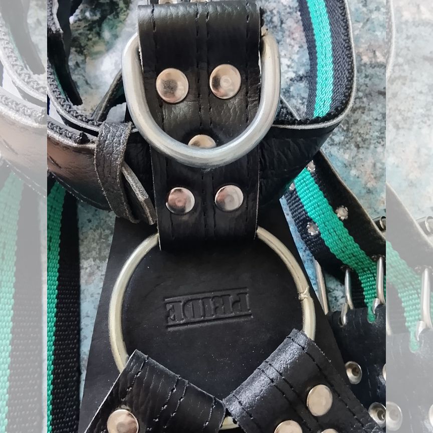 Шлейка для большой собаки