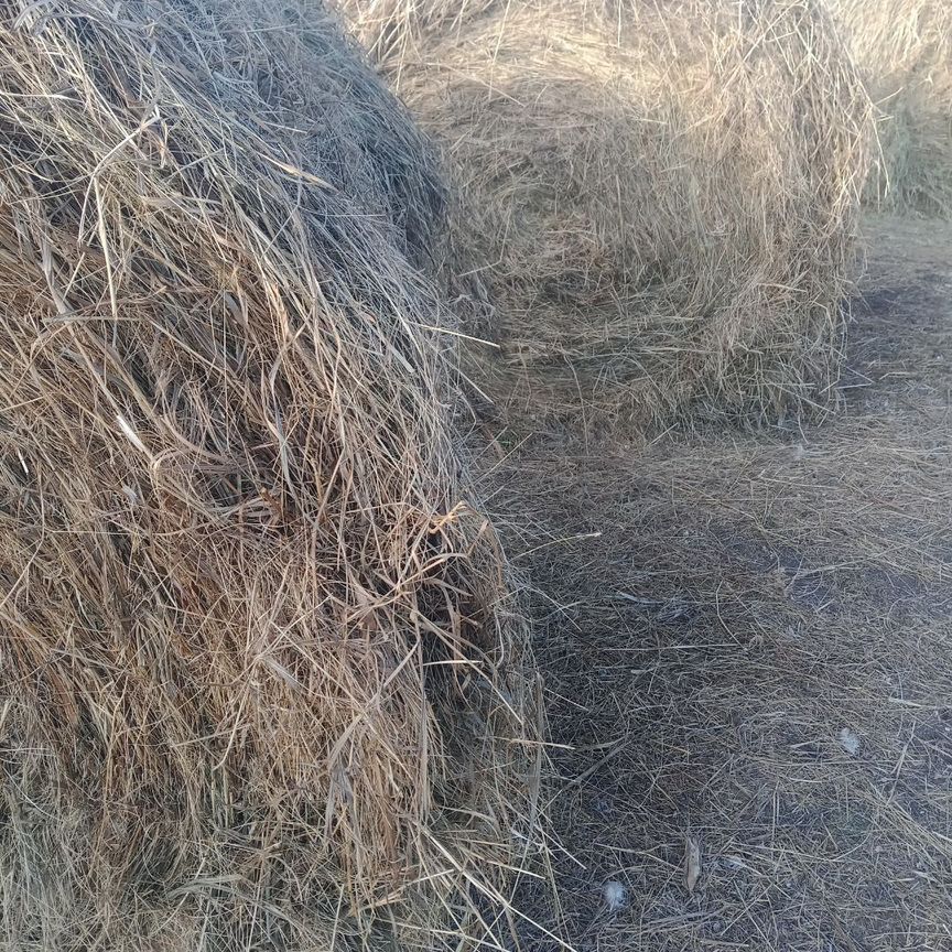 Сено, солома