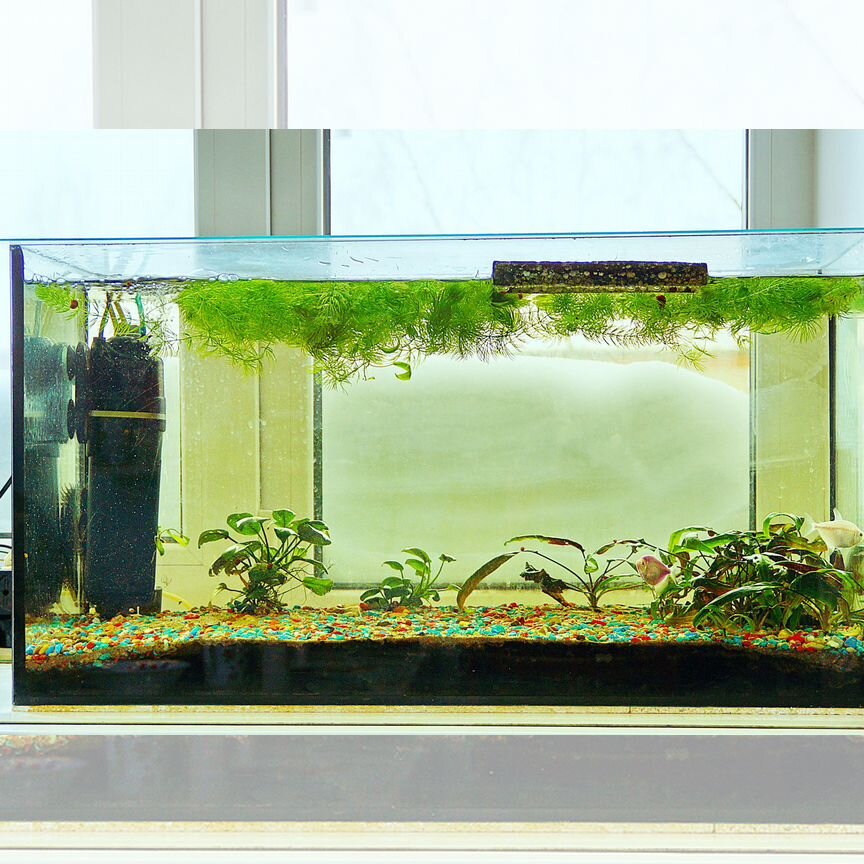 Продам аквариум 75 литров