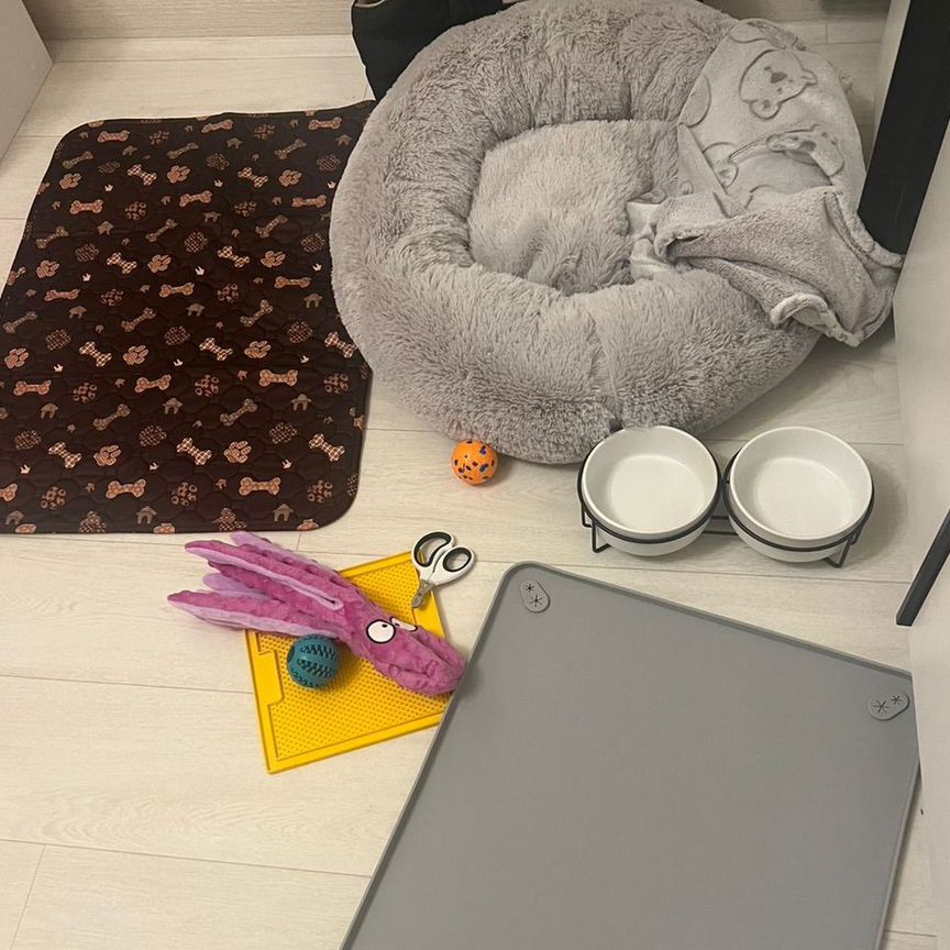 Для щенка (от сумки до корма) новое