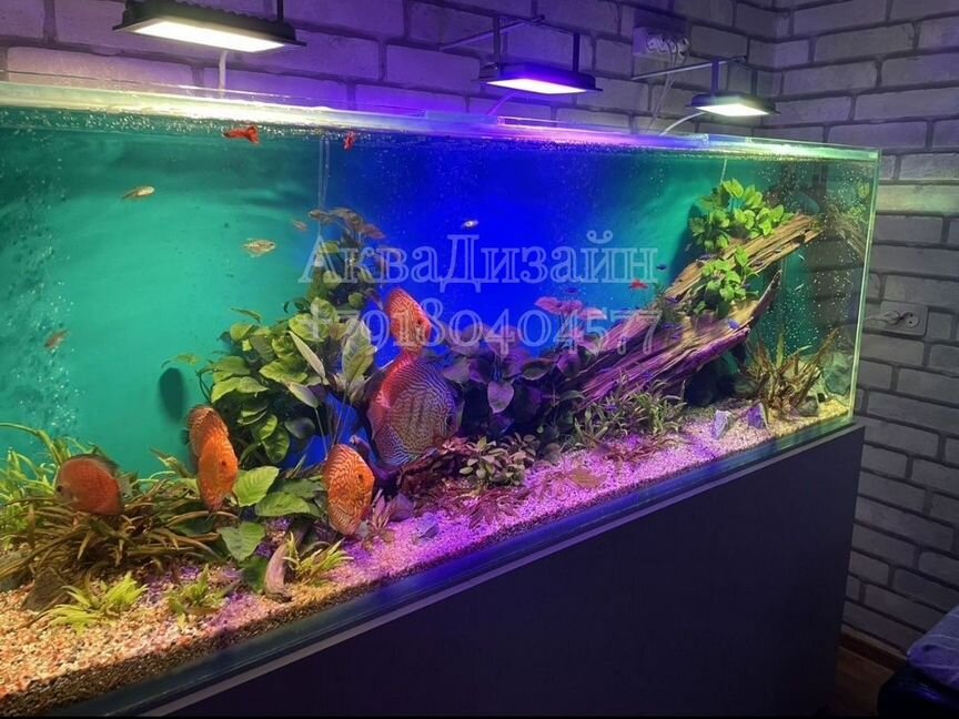 Аквариум на 1000 литров