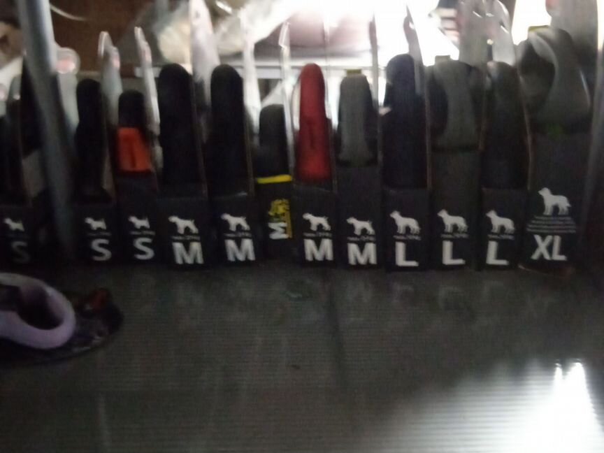 Аксессуары для собак