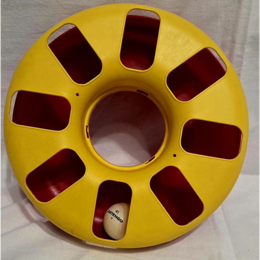 Трек Круг для котят и собачек