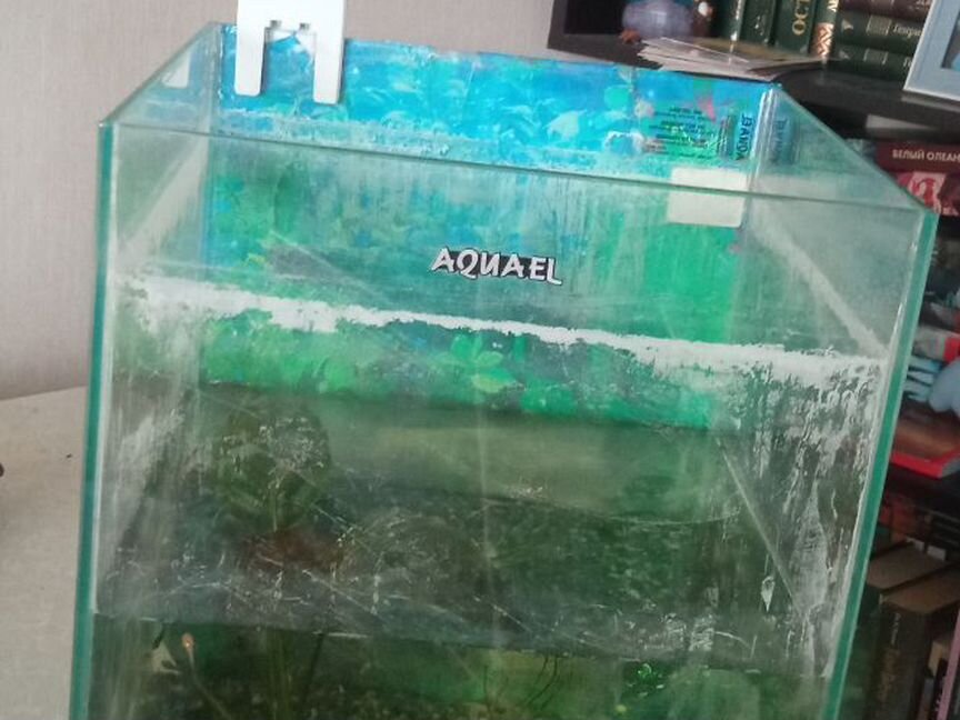 Аквариум