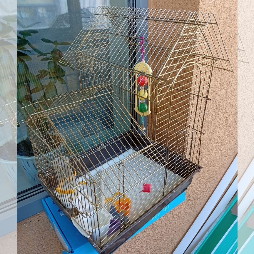 Клетка для попугая