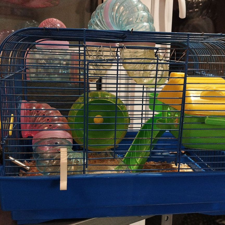 Клетка для грызунов