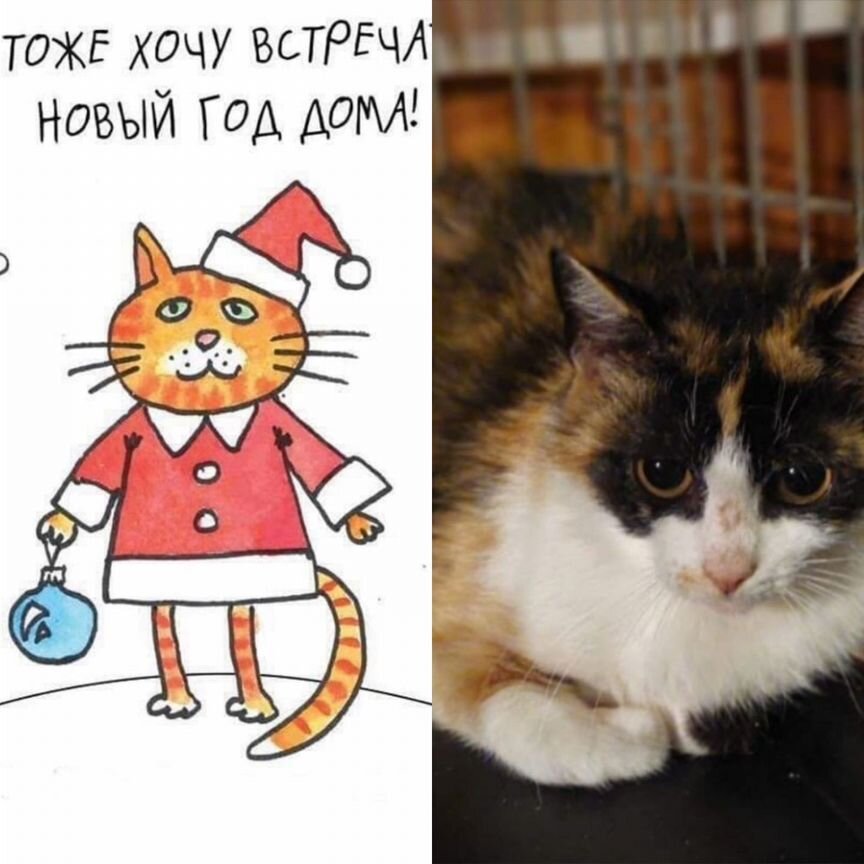 Туся ждёт своего человека