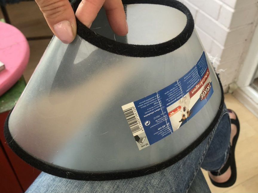 Обмен на товары дл животных