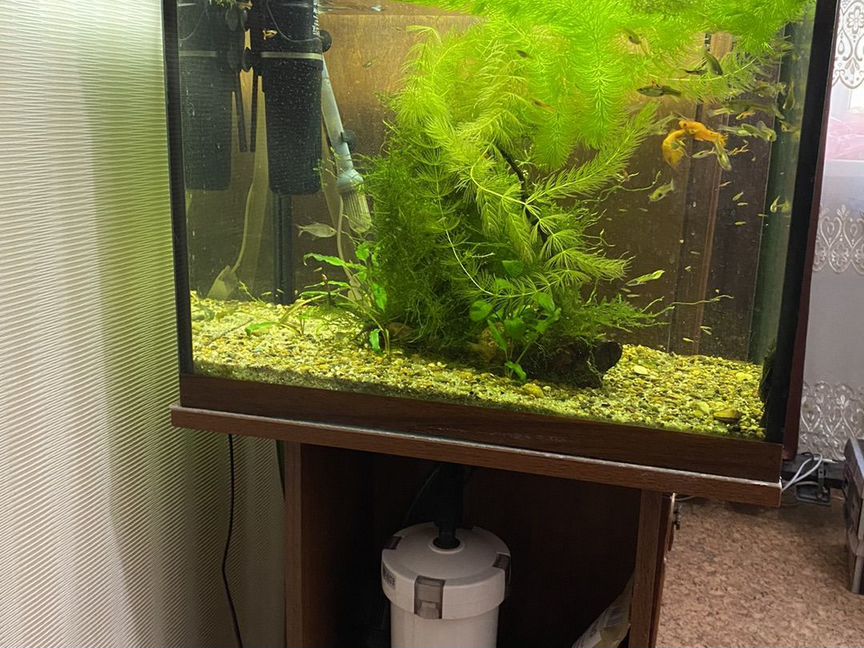 Аквариум 60л