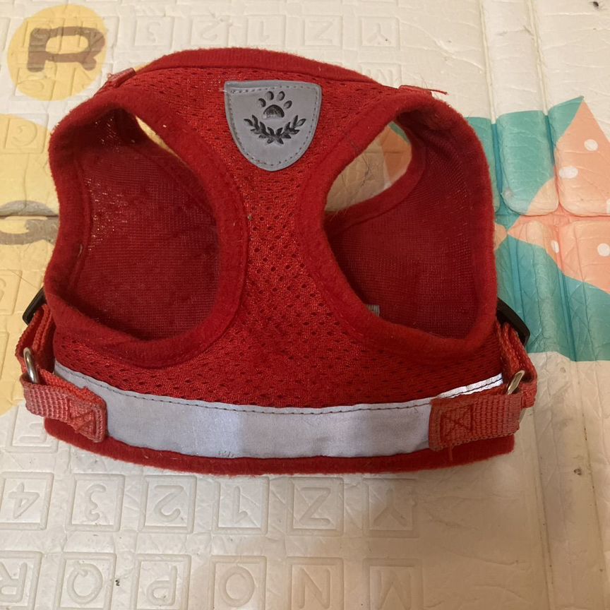 Шлейка для маленкой кошки/собаки