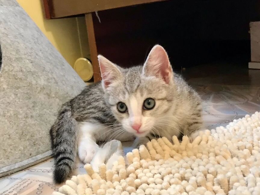 Маленькая непоседа