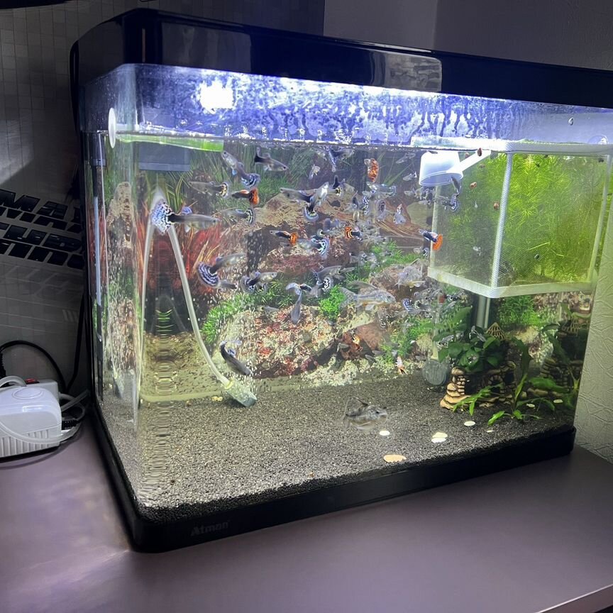 Аквариум Atman 65 литров