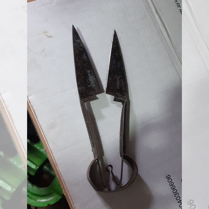Ножницы овечьи