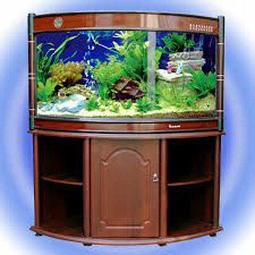 Морской аквариум