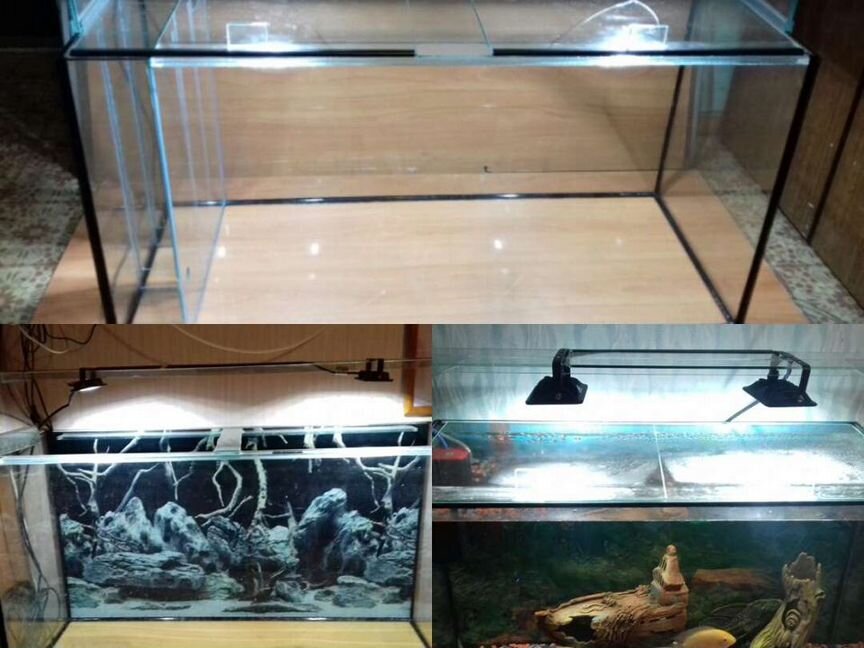 Аквариумы на Гренаде