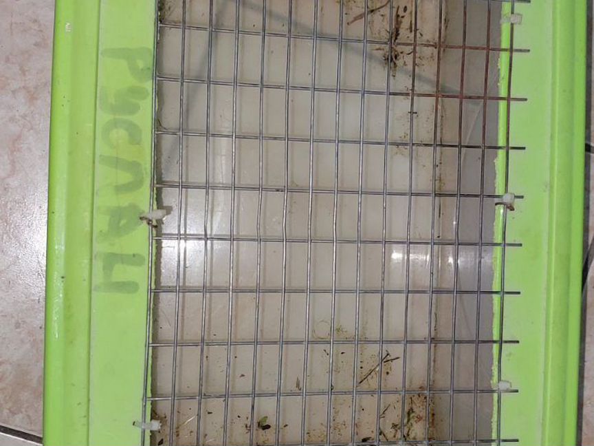 Клетка переноска отсадник для грызунов