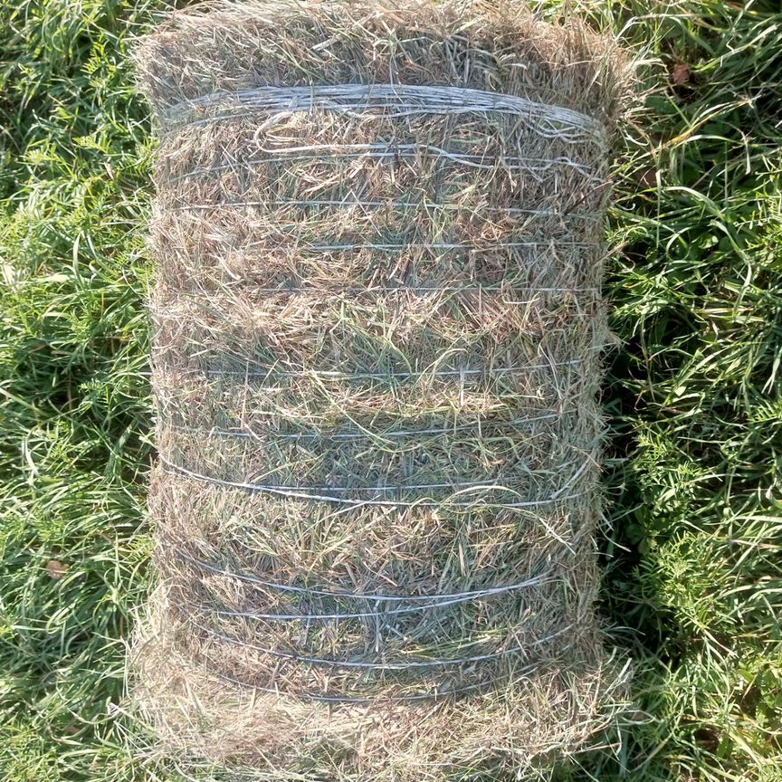 Сено в рулонах