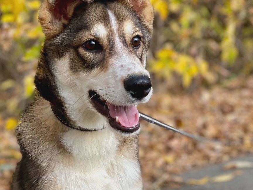 Классная девчонка Дарина ищет своим пап и мам
