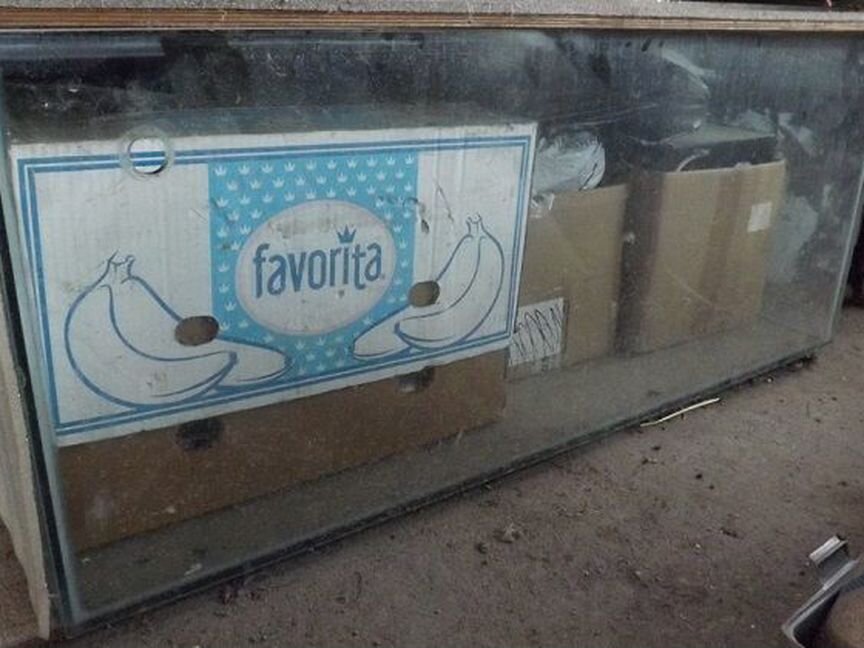 Грунт для аквариума, аквариум