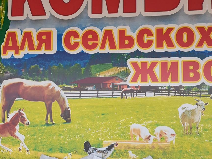 Зерно пшеница ячмень