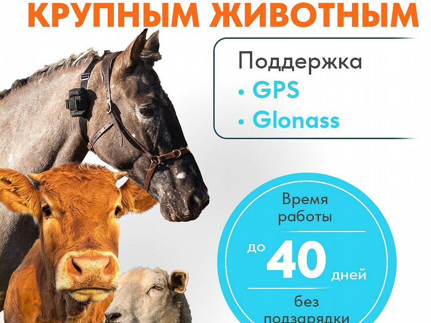 Ошейник для крс