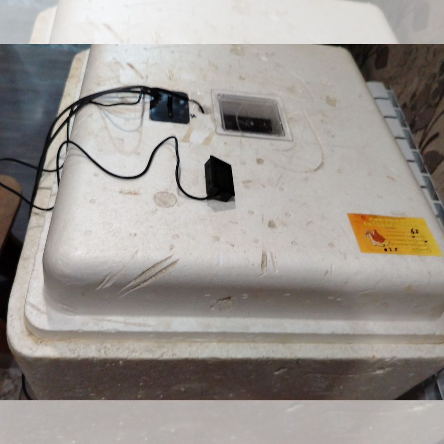 Инкубатор для яиц автоматический бу