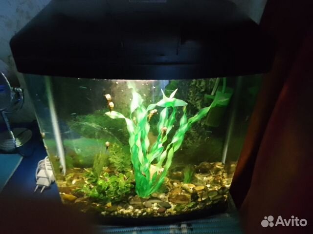 Аквариум 30л бу