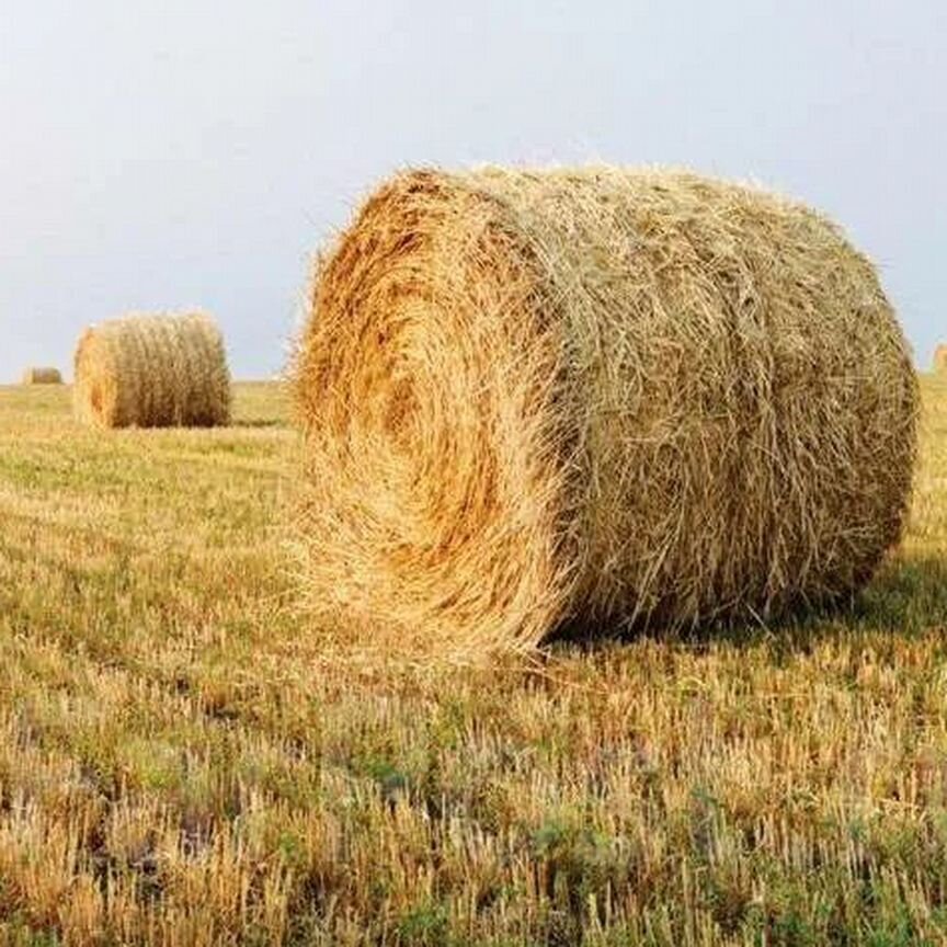 Солома в рулонах