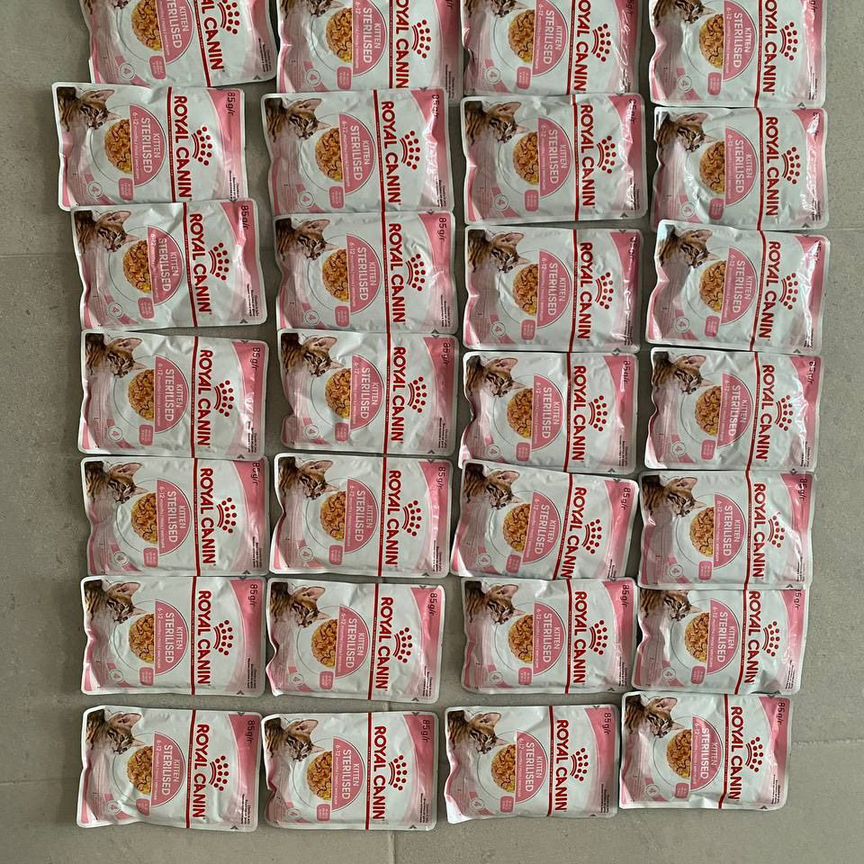 Royal canin влажный корм