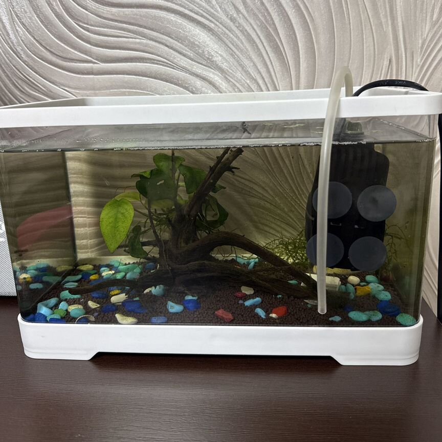 Аквариум для петушка 10 литров