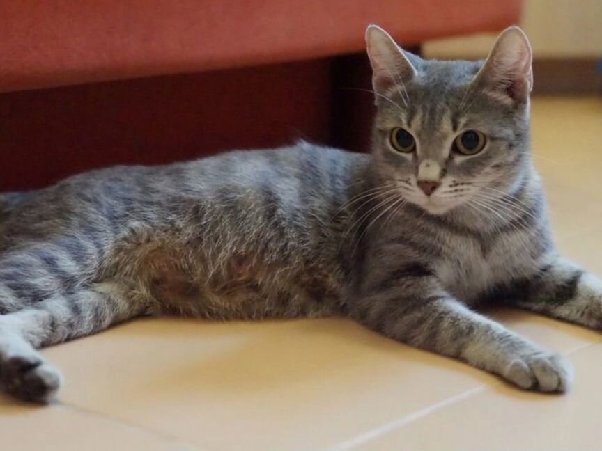 Её ждёт улица и смерть