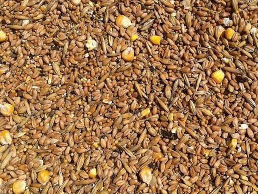 Зерносмесь