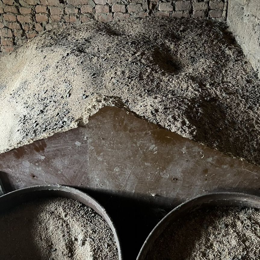 Корм для животных