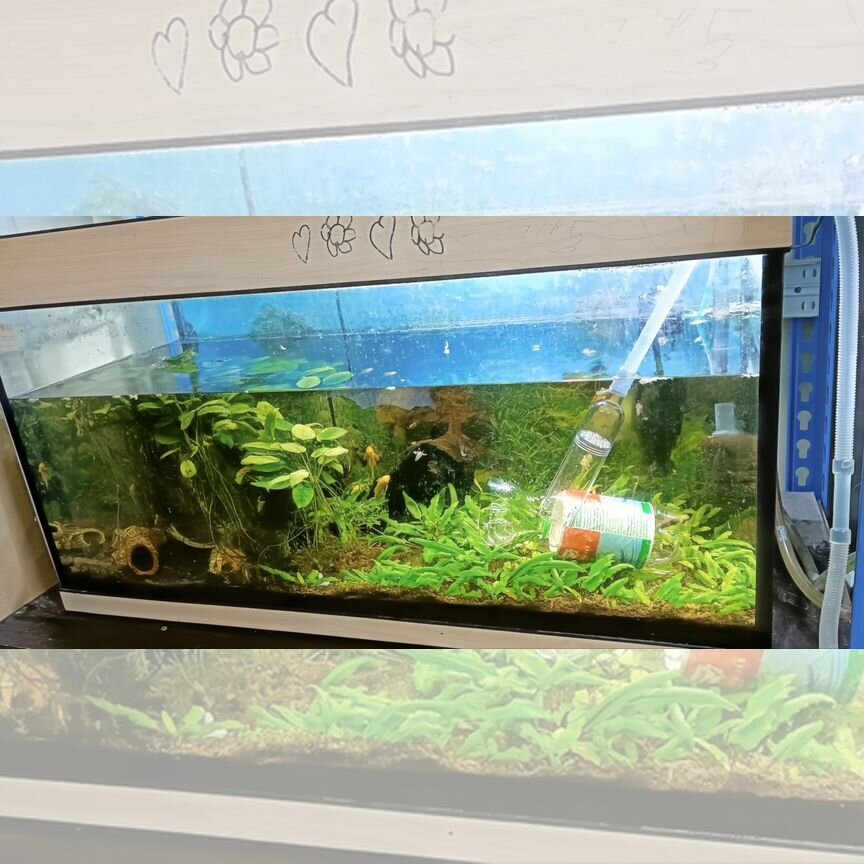 Аквариумы 200/20/7/5. Стеллаж металлический