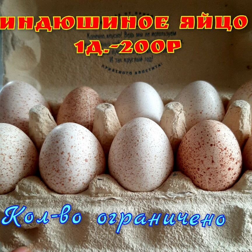 Индюшиное яйцо