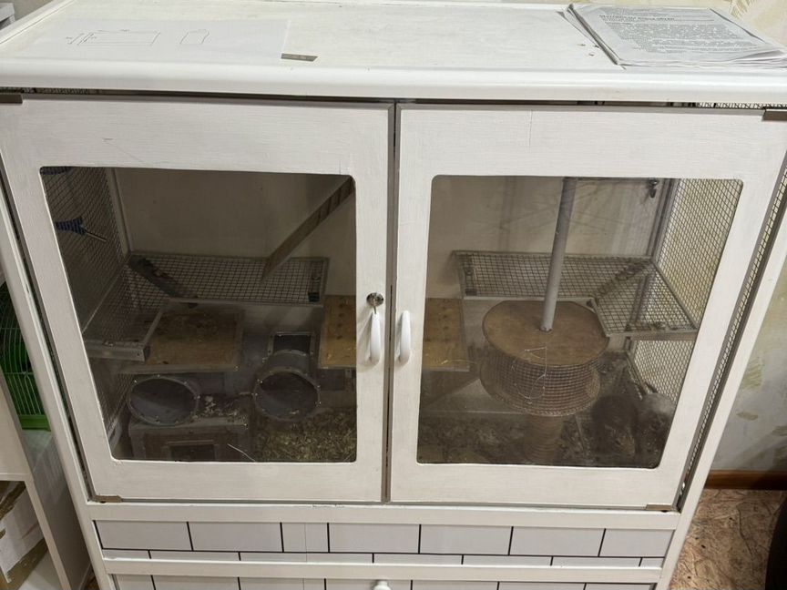 Витрина для грызунов