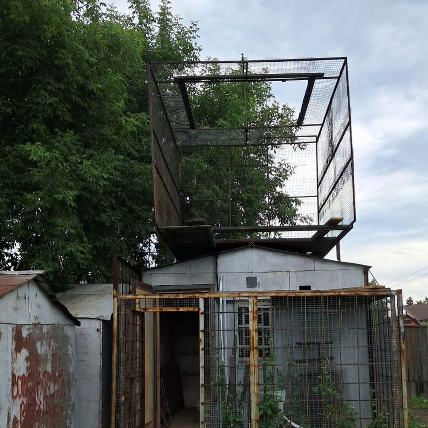 Голубятня