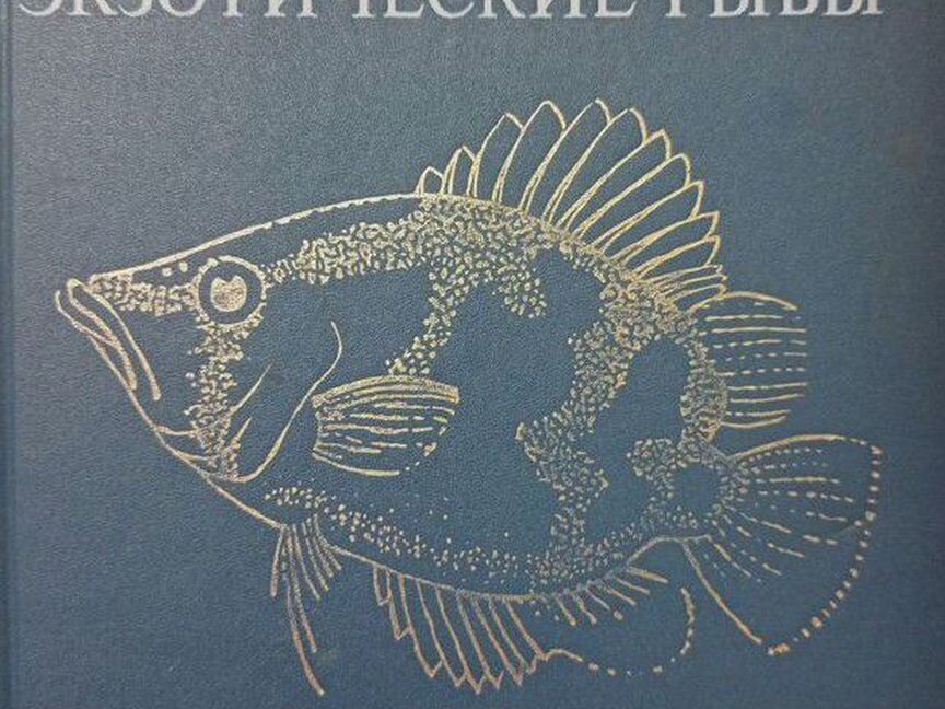 Экзотические рыбы"