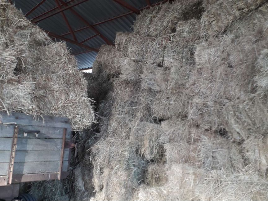 Солома сено