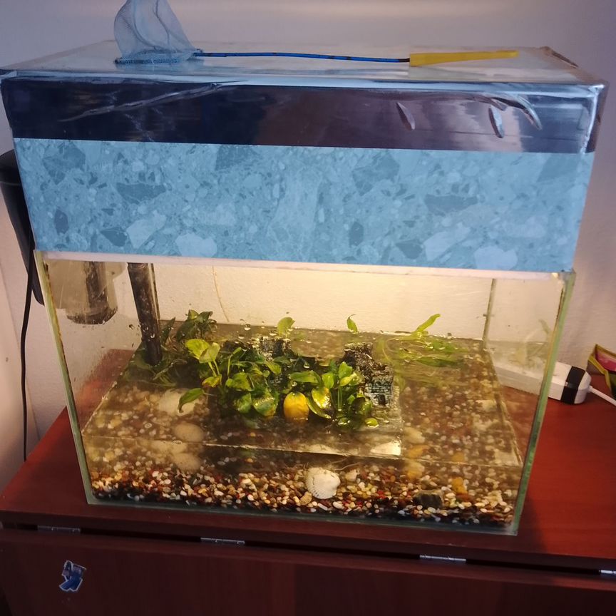 Аквариум 40л, фильтр, освещение, замок, сачок