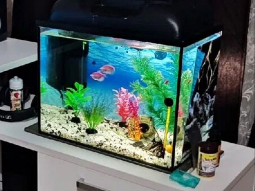Аквариум 35л с фильтром tetra in400 plus