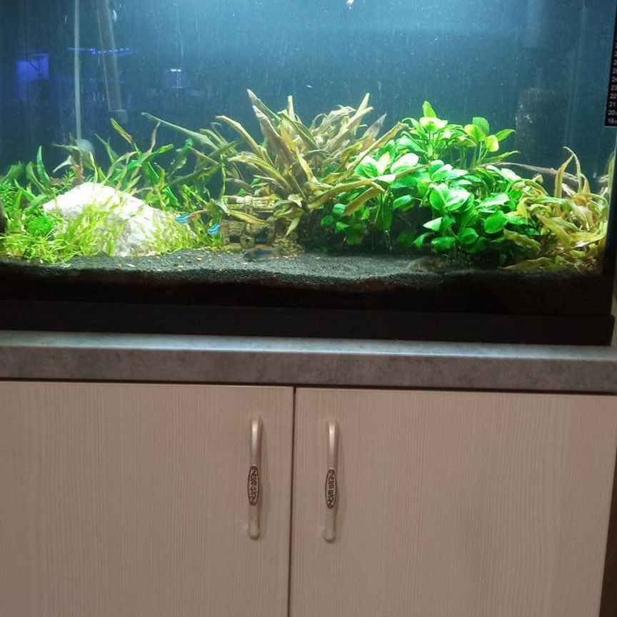 Аквариум Акваплюс 100 л