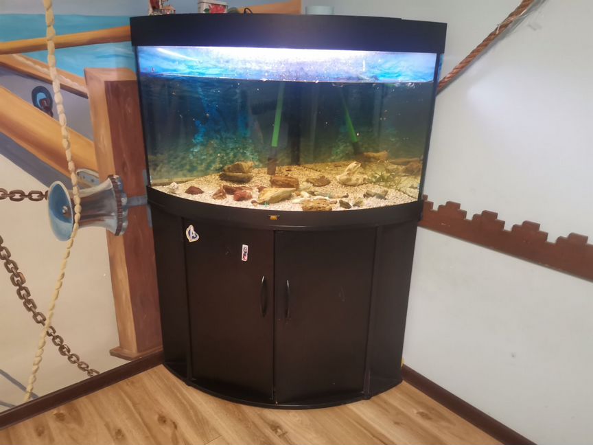 Аквариум с тумбой Juwel Trigon 190 LED