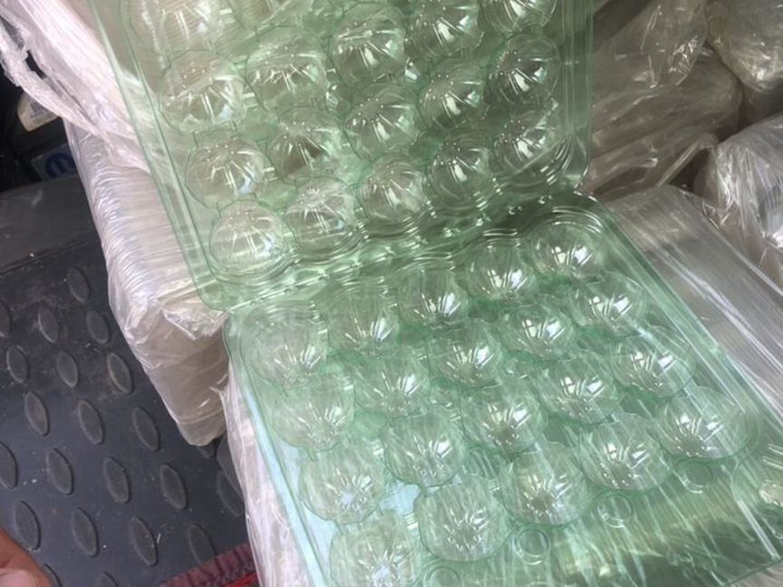 Лотки для перепелиных яиц