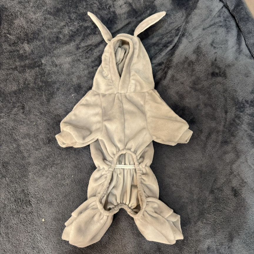 Костюм для маленькой собаки