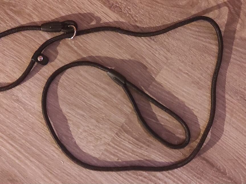 Ринговка для собак